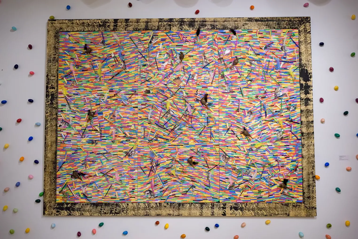 A First Look A The Revamped Bass Museum In Miami Beach Miami Miami