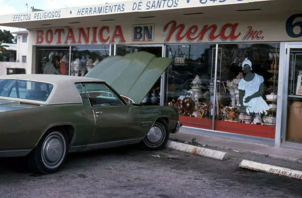 Botanica Nena | Little Havana | Religion and Spirituality | General