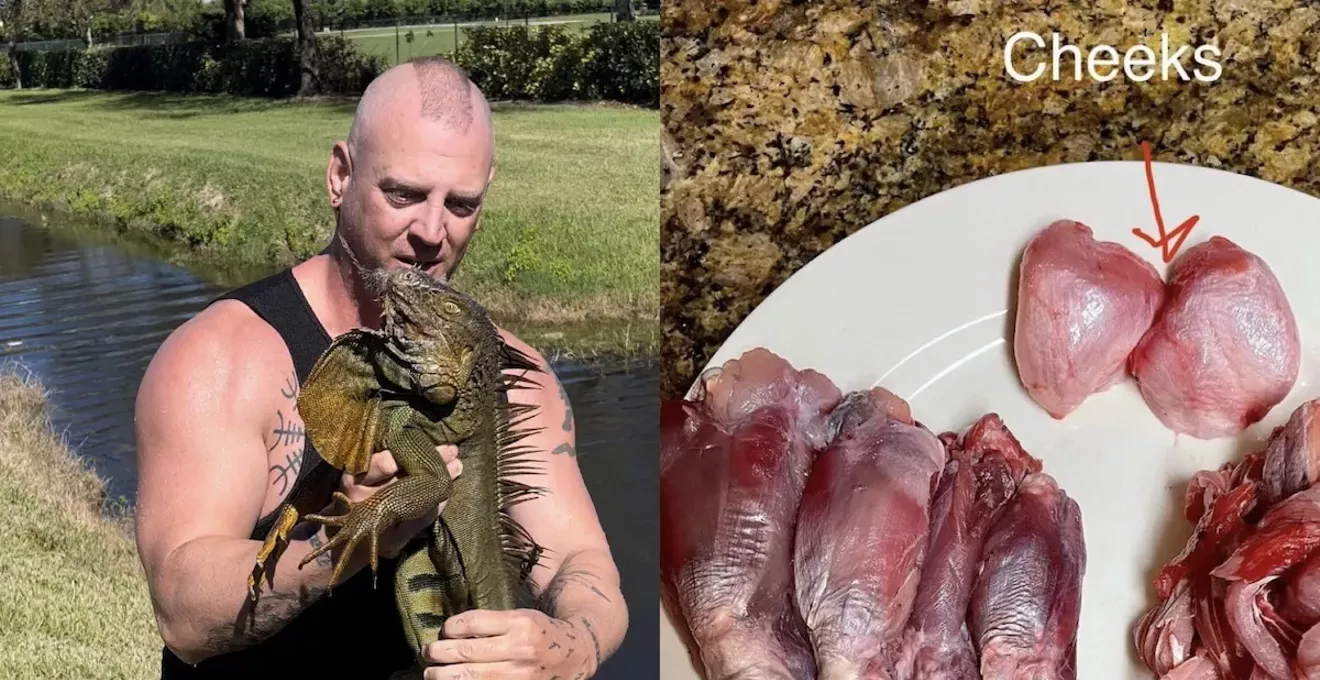 The Ultimate Guide to Cooking an Iguana | Miami New Times
