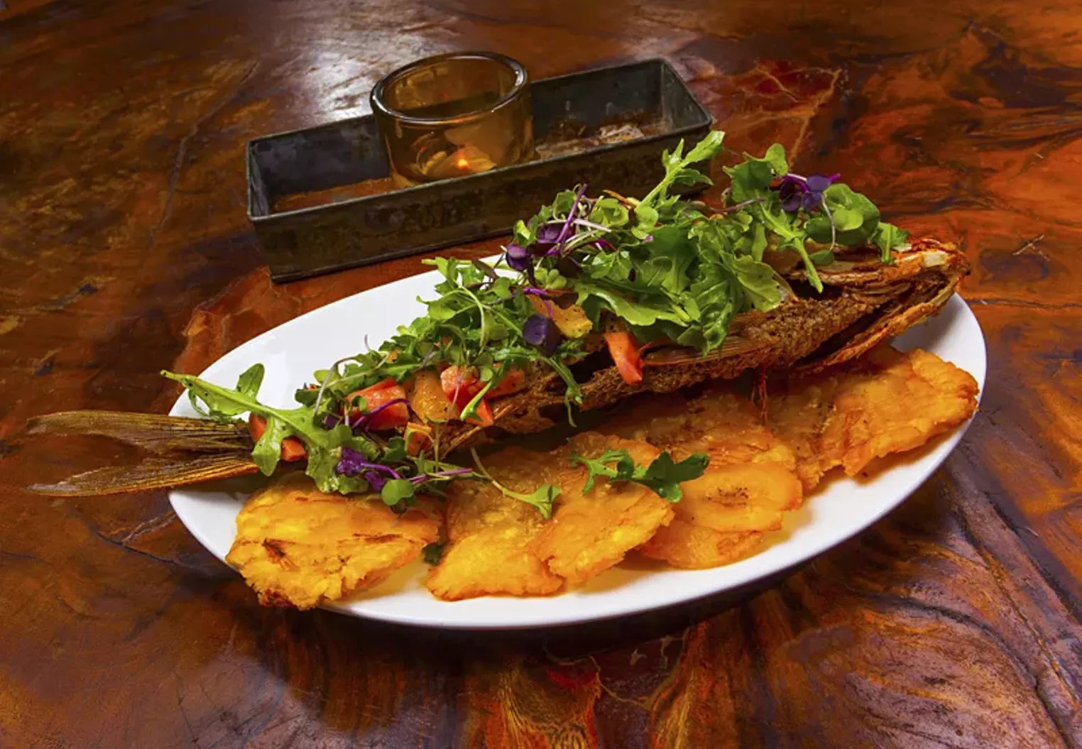 Closer Look: Loba in MiMo | Miami | Miami New Times | The Leading ...