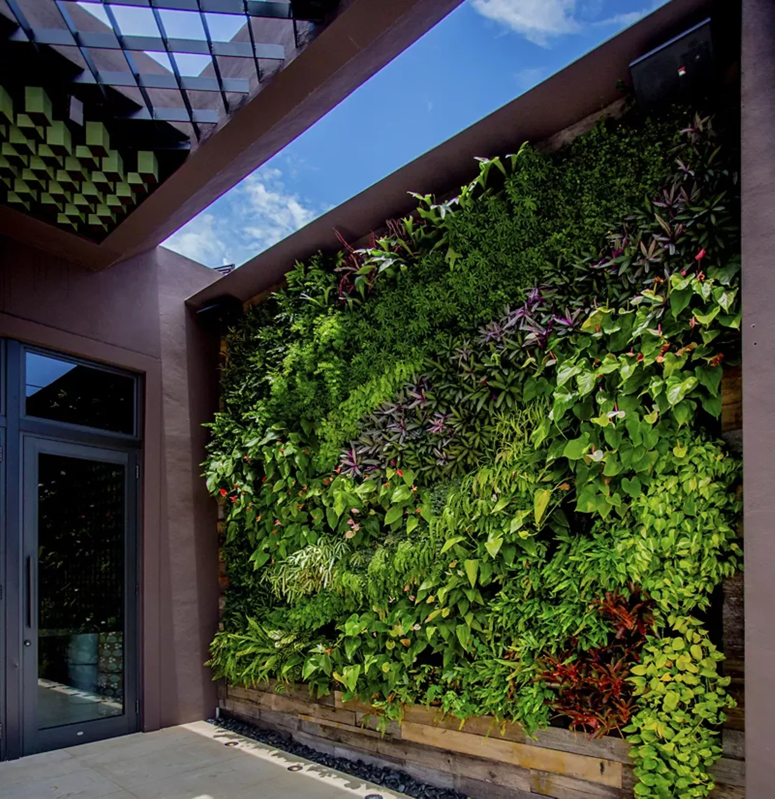 Closer Look: Shikany in Wynwood | Miami | Miami New Times | The Leading ...