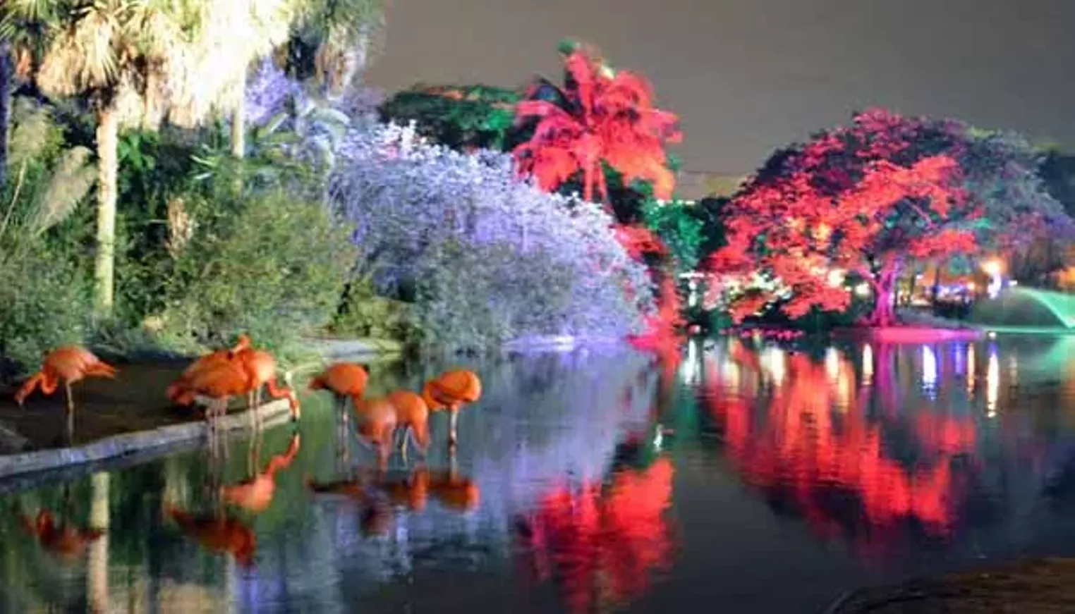 Feast with the Beasts at Zoo Miami | Miami | Miami New Times | The ...