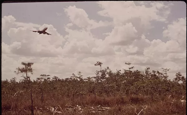 George Pino Charged With Homicide in Miami Boat Crash That Killed Teen ...