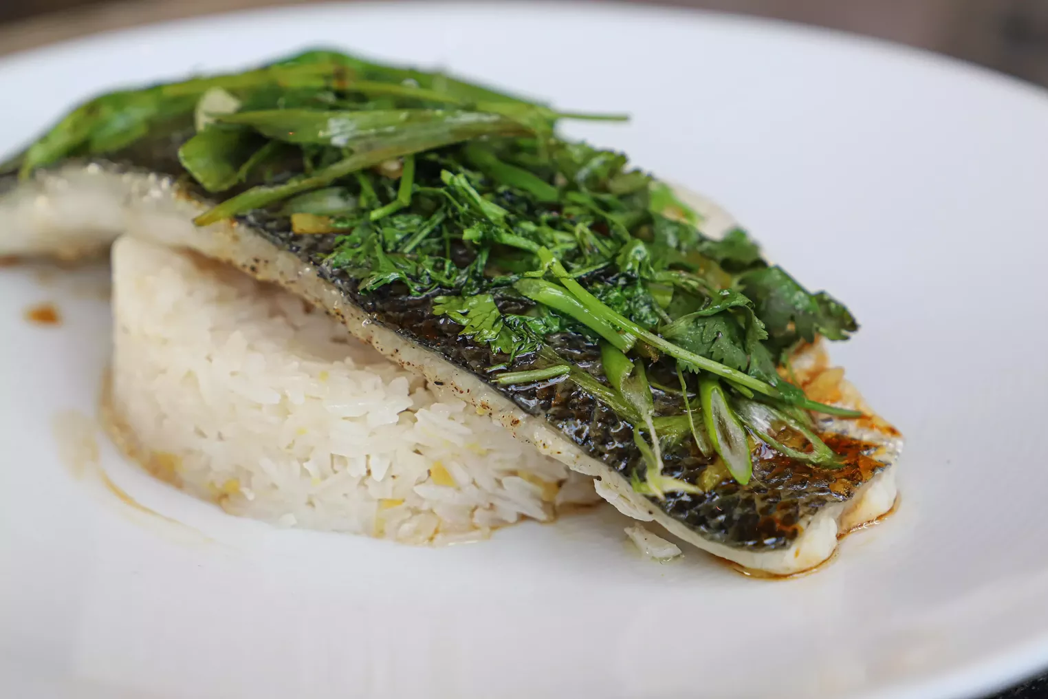 MIA Kitchen & Bar | Palm Beach County | New American | Restaurant