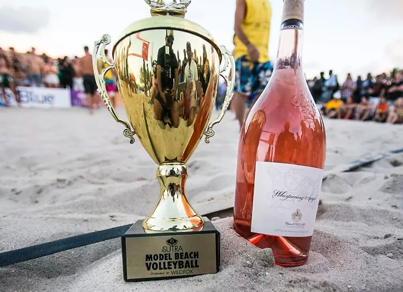 The Hard Bodies at Model Beach Volleyball 2015 | Miami | Miami New ...