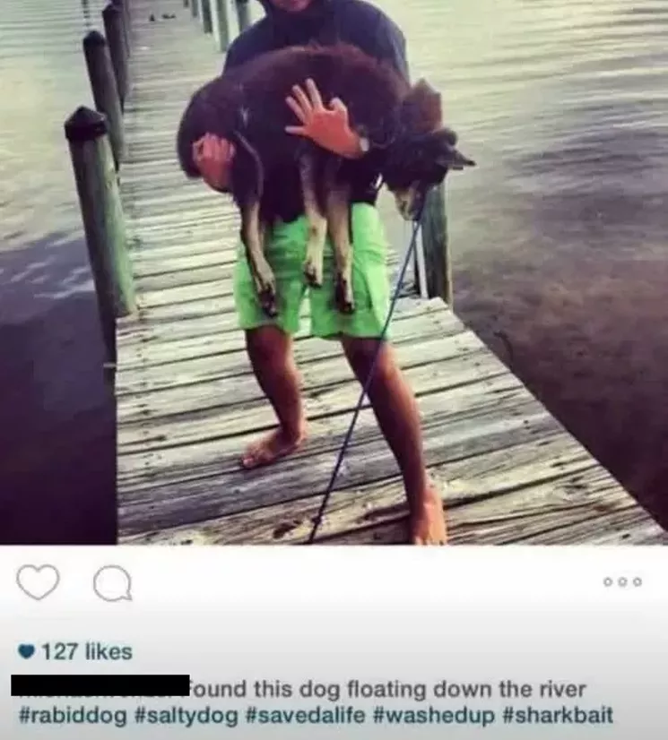 Alleged Florida Shark Abuser in Video Posted Other Photos of Himself ...