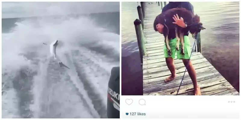 Alleged Florida Shark Abuser in Video Posted Other Photos of Himself ...