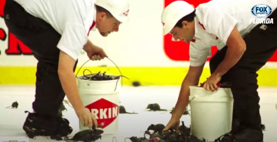 How Plastic Rats Became Forever Linked to the Florida Panthers | Miami ...