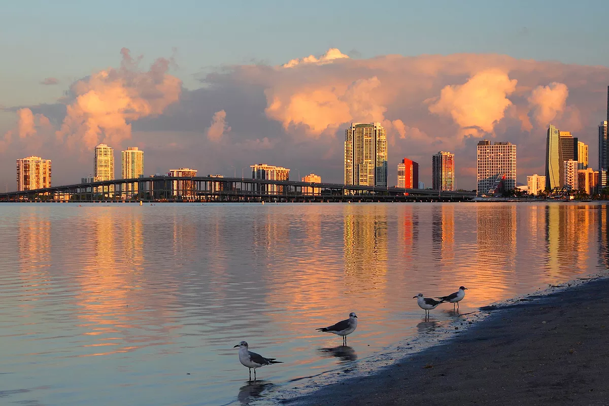 Hobie Island Beach Park | Key Biscayne | Sports and Recreation | General