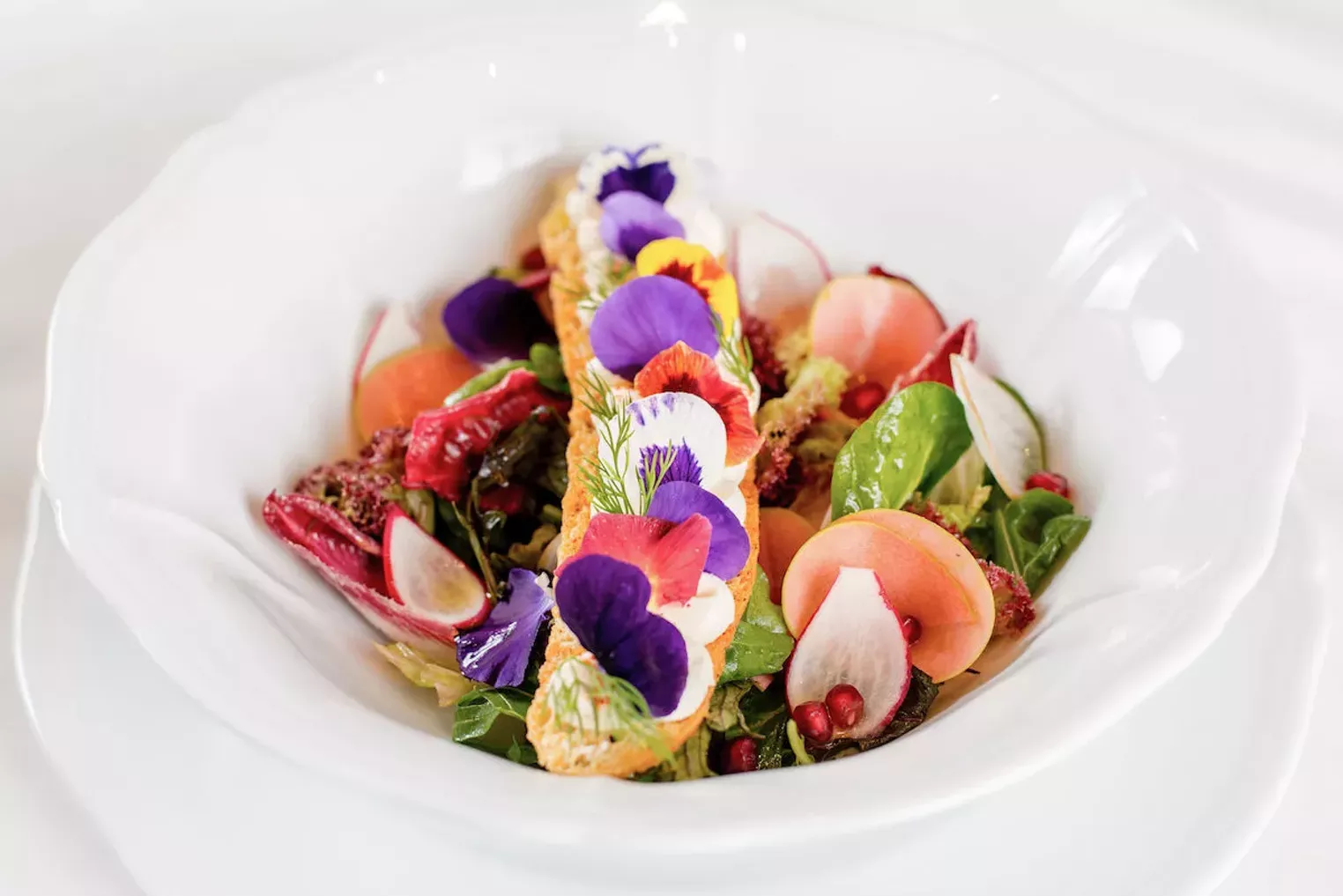 Fiola Miami Coral Gables Restaurant Photos | Miami New Times