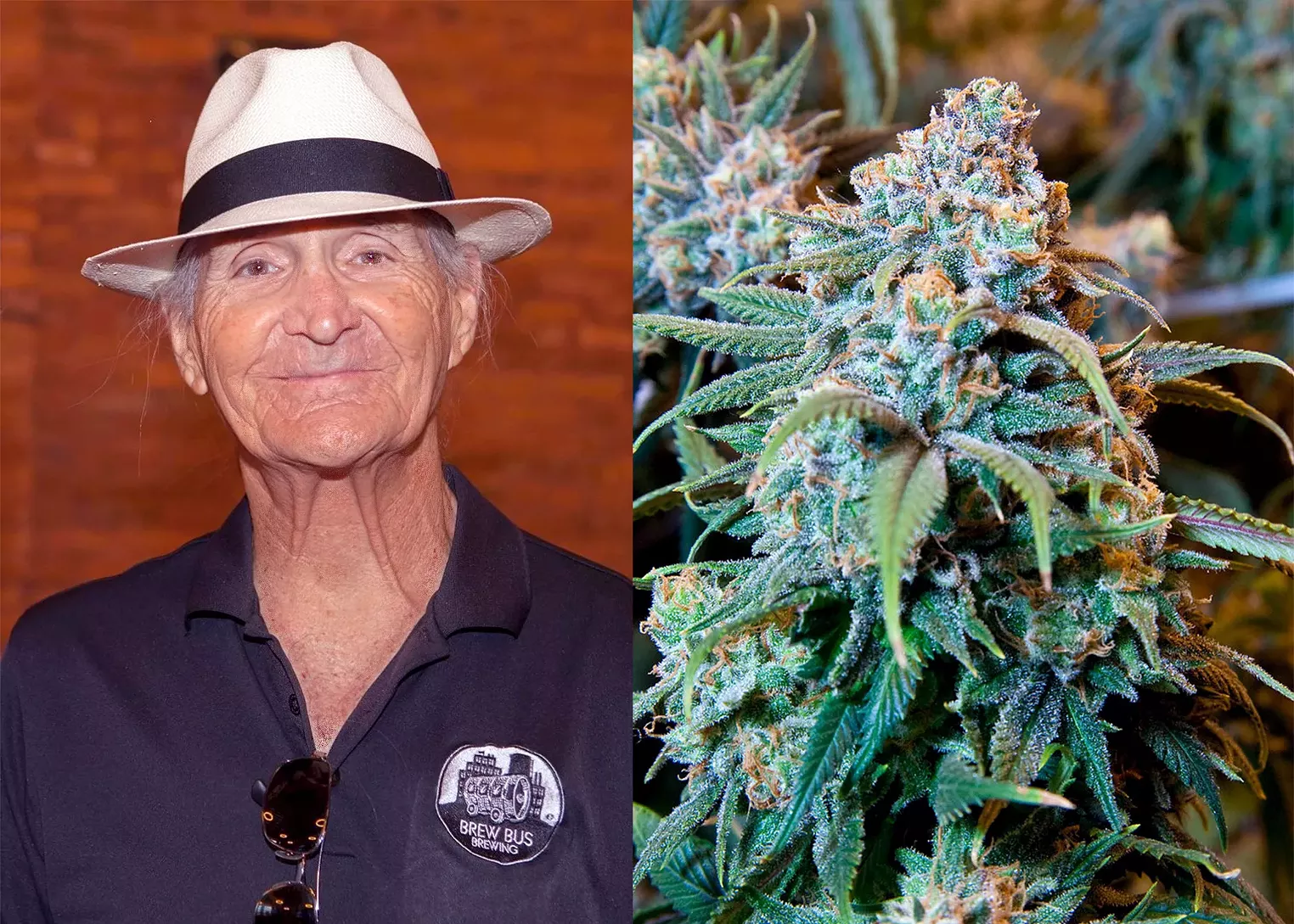 Tampa Club King Joe Redner Battles for Home-Grown Marijuana in Florida ...