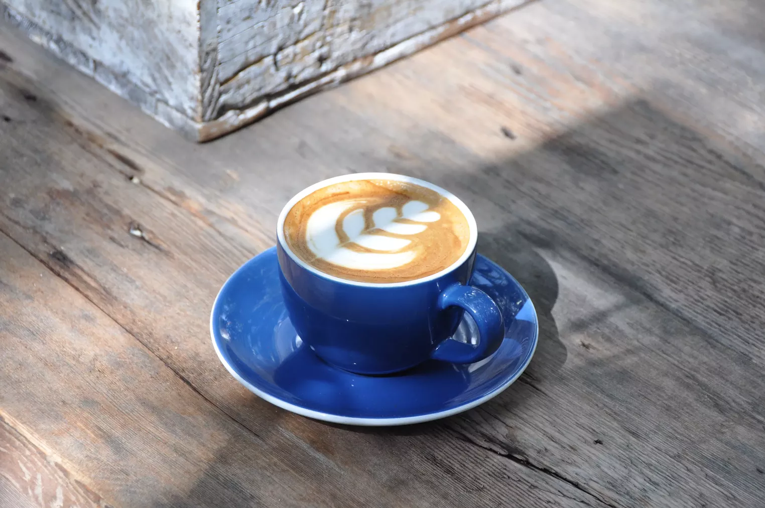 Miami's Per'La Coffee Expands to England | Miami New Times