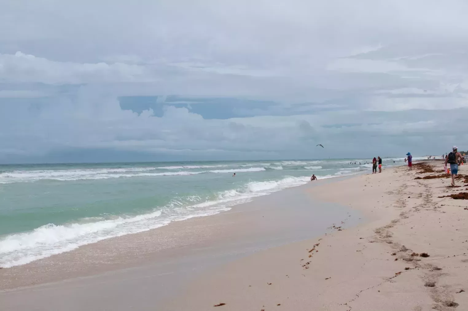 Photos: Flooding in Miami Beach After Tropical Cyclone One | Miami New ...